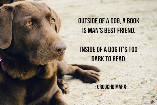 My Success is My Responsibility - Infinity Coaching Blog