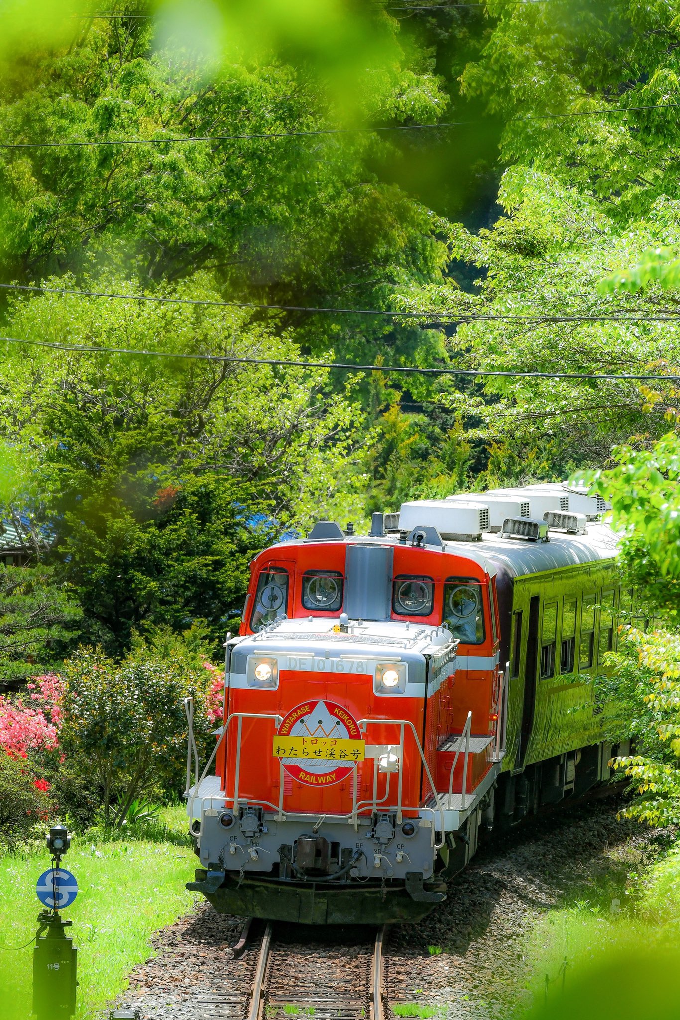 毅 (@takedon999) / Twitter