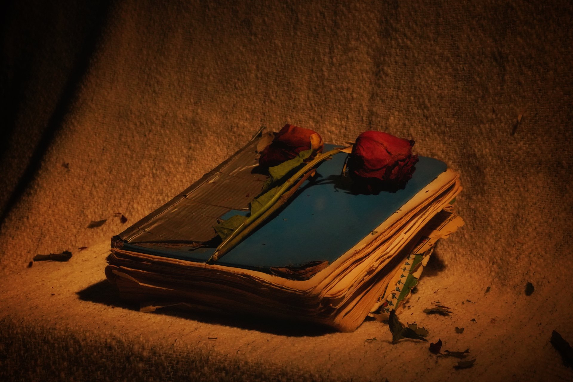 The Jewish Museum on Twitter: "Congratulations to the high school winner of our Teen Photo ...