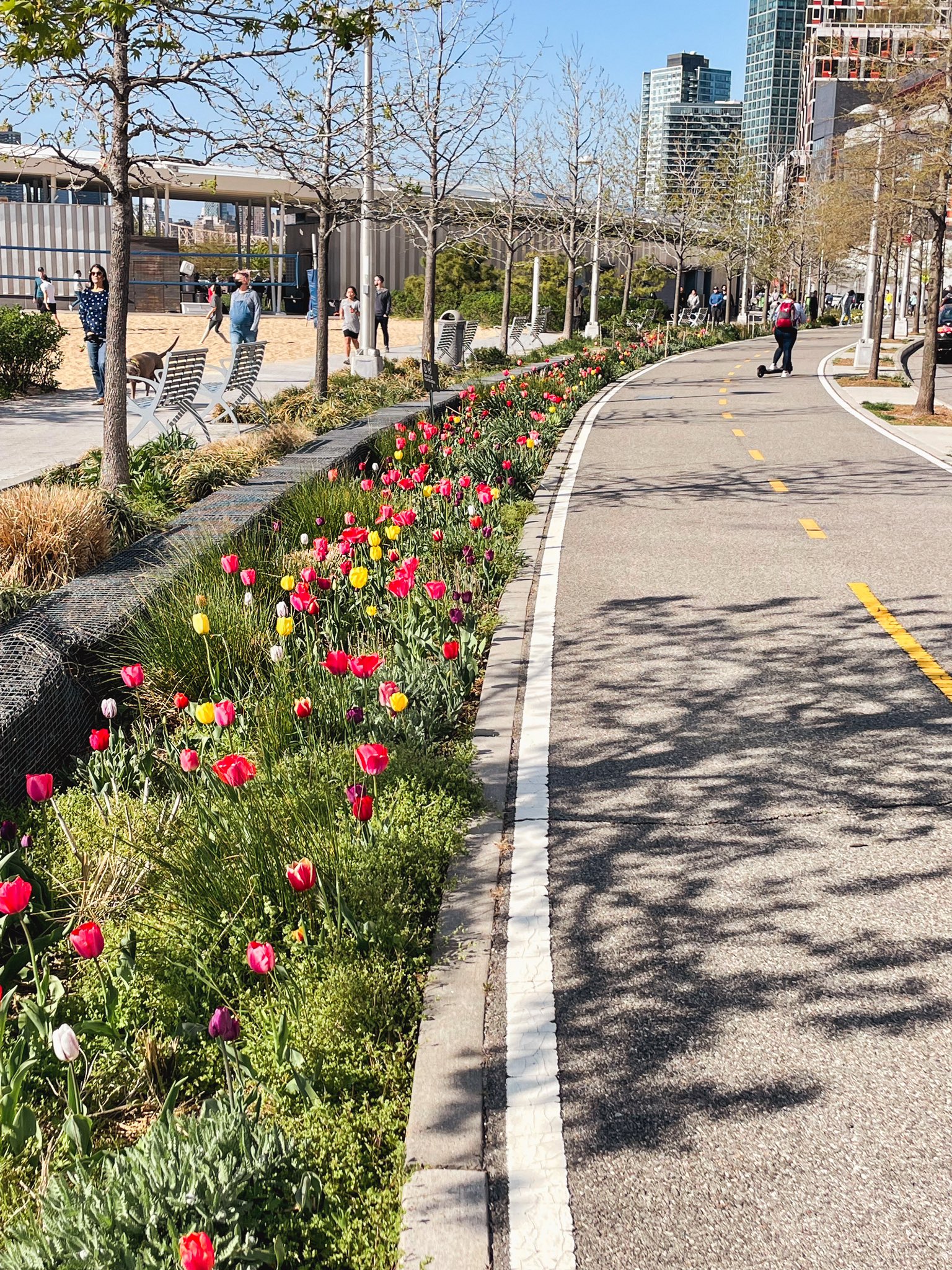 Hayden Clarkin on Twitter: "How great would biking in America would be if every road had an off ...