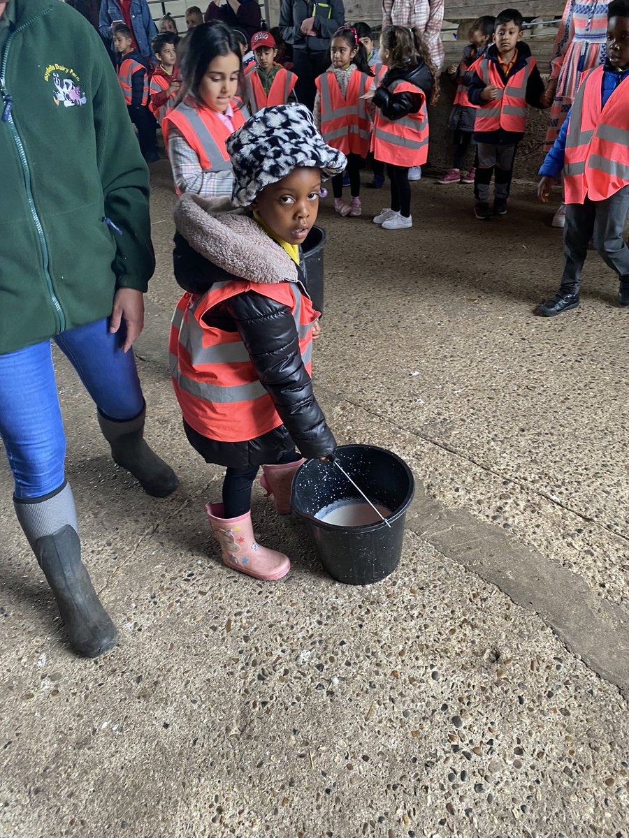 Thames View Infants | School Meals