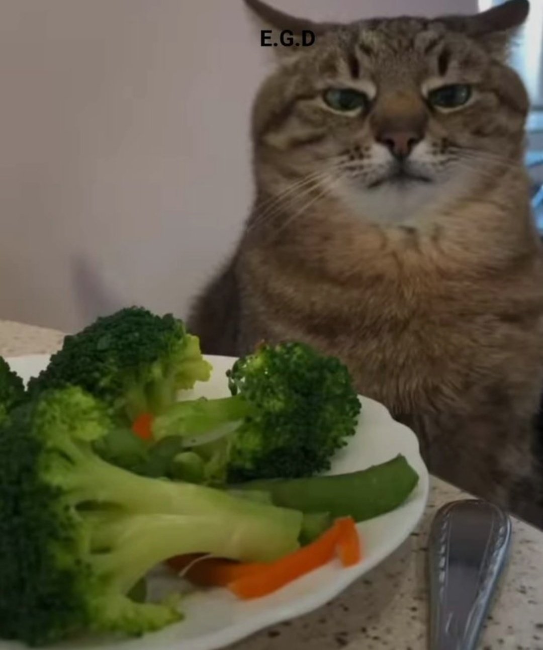 Memes Comiendo Sano Consejos Para Comer Sano Sin Gastar Mucho Dinero