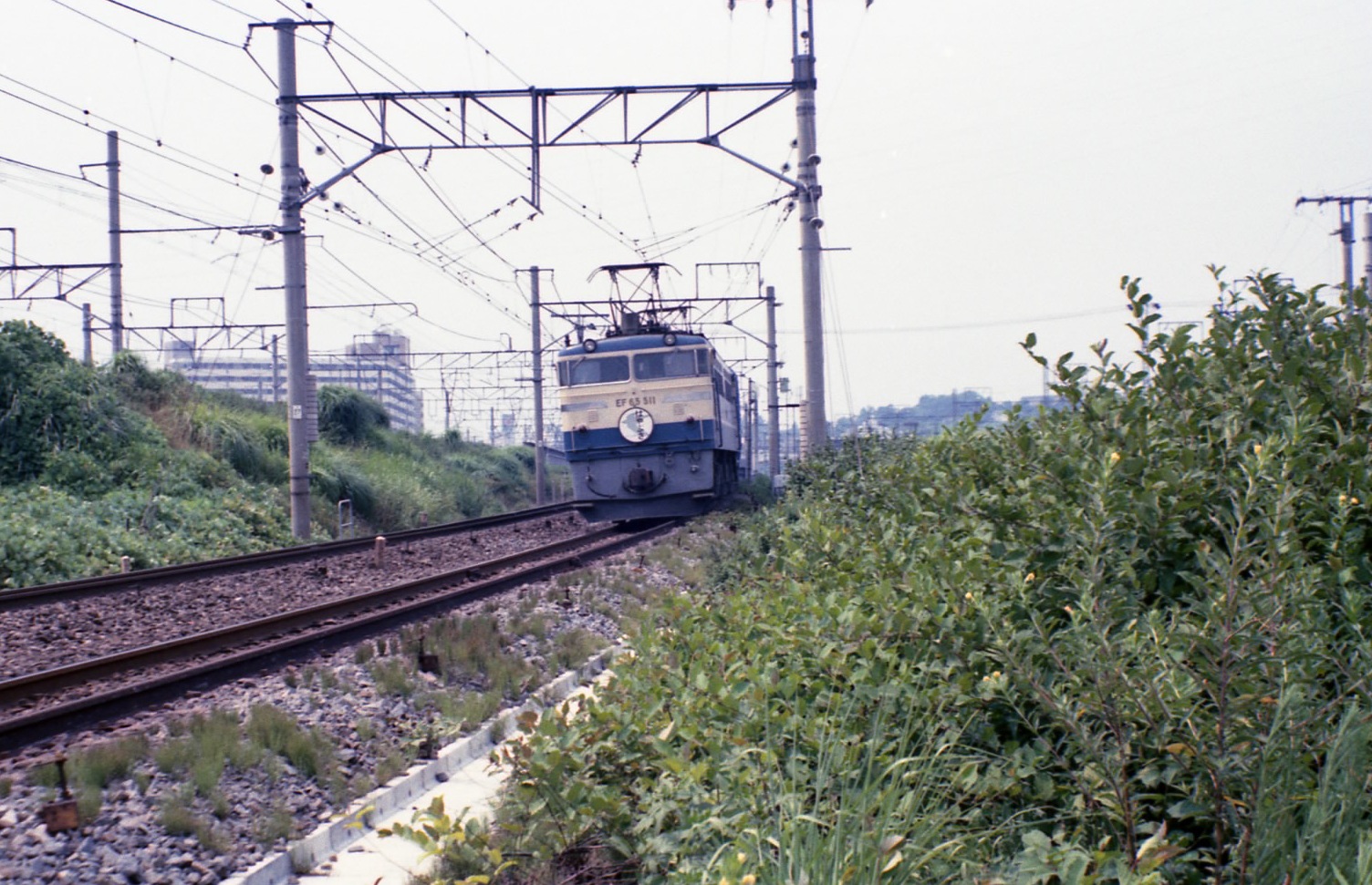 北鉄⭐️⭐️⭐️ on Twitter: "#511号機の日 #EF65511 #ブルトレ #はやぶさ #国鉄時代 迫って来る迫力に負けて早切りでシャッターを押したガキ鉄時代 https ...