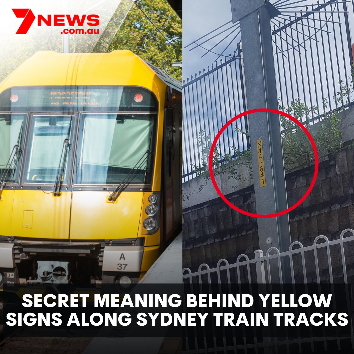 Sydney Traffic Memes