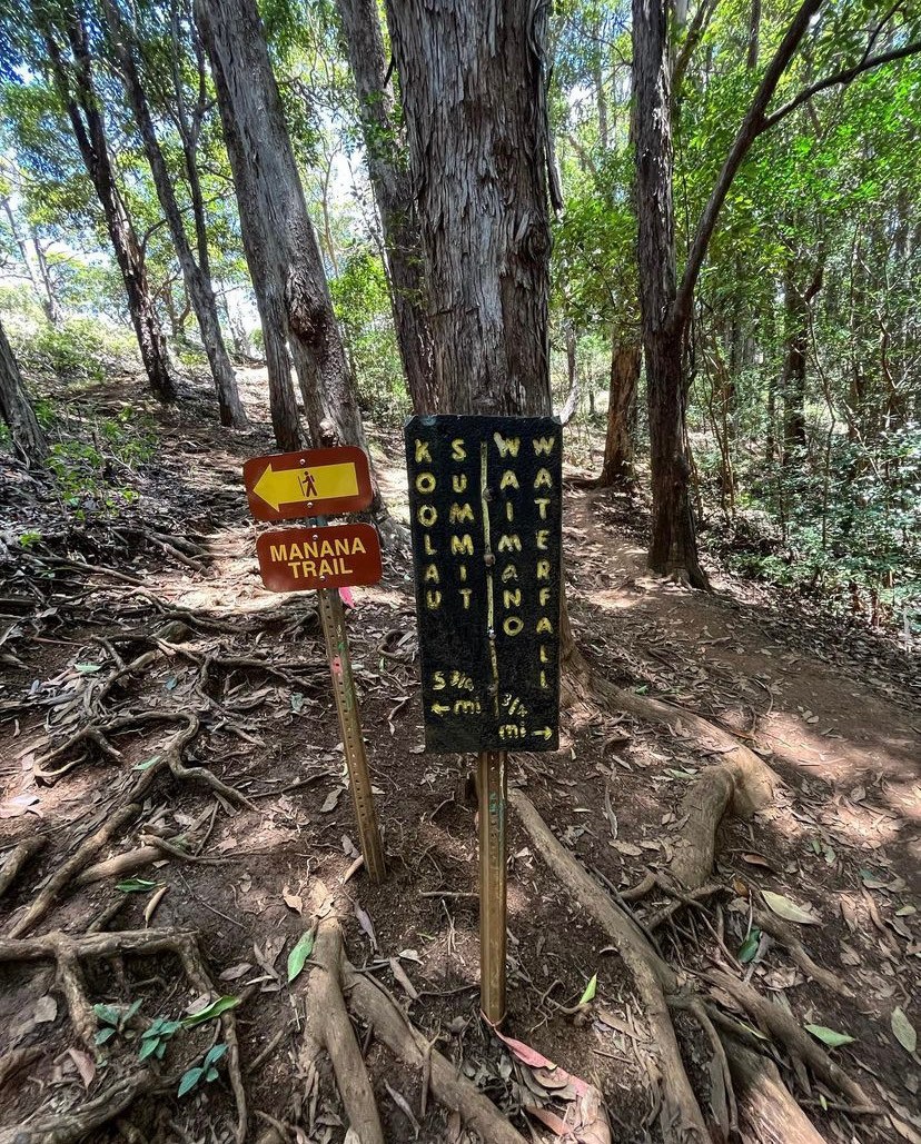Waimano Falls Hike