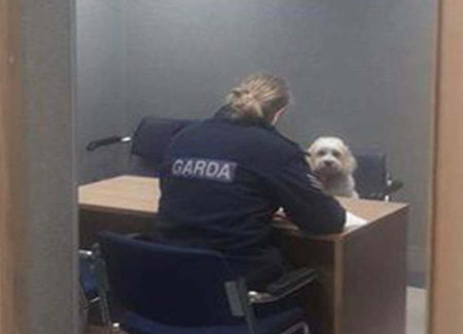 Interrogation Room Memes