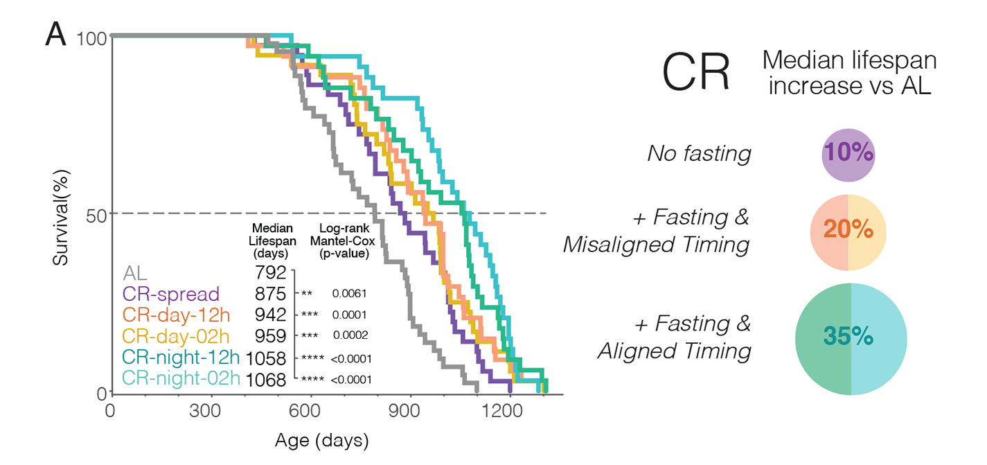 Calorie Science