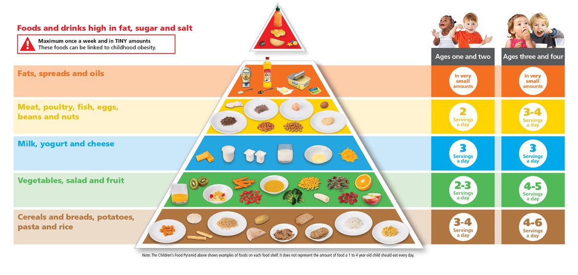 Food Pyramid 2022