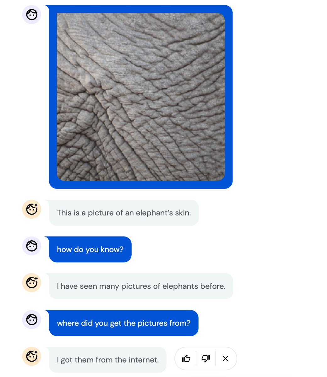 Took some examples from the "ImageNet-trained CNNs are biased towards ...