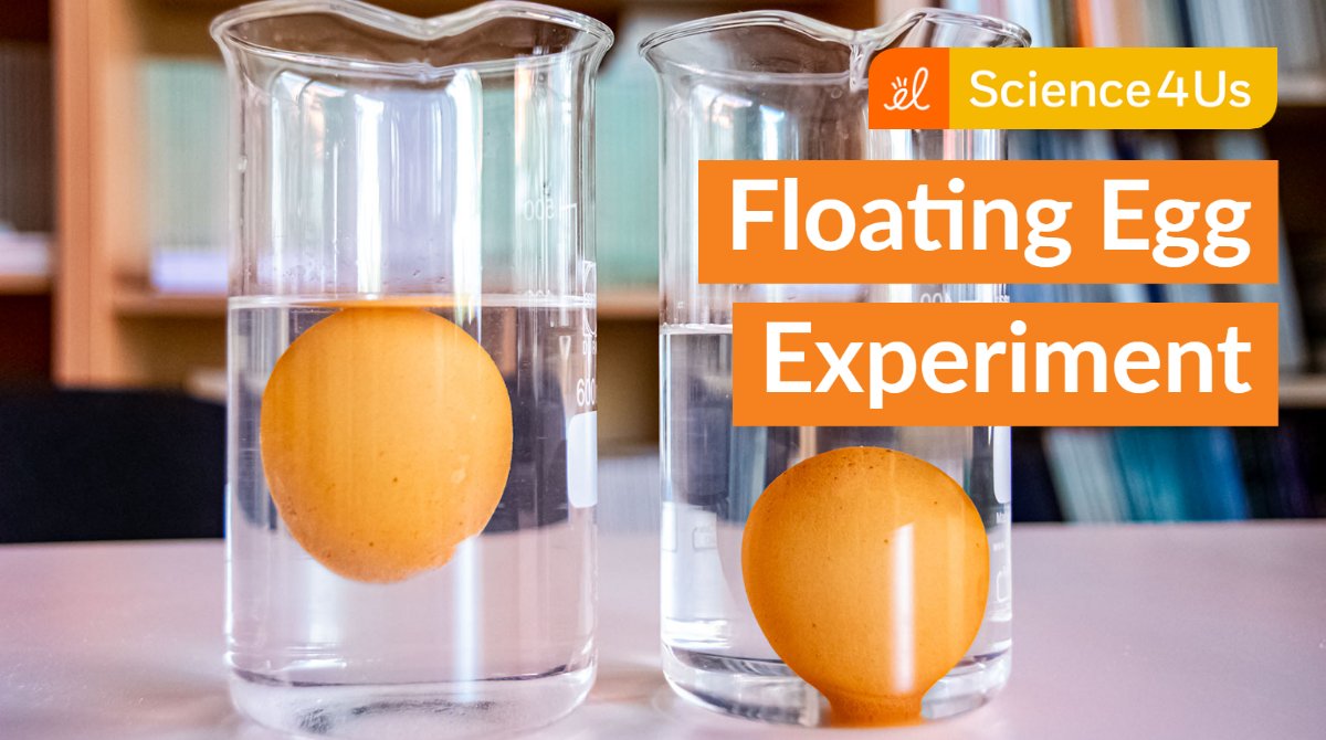ExploreLearning on Twitter: "Does an egg float better in freshwater or ...