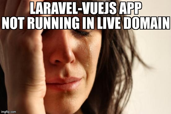 Meme Overflow On Twitter Laravel Vuejs App Not Running In Live Domain 9legjxddkm