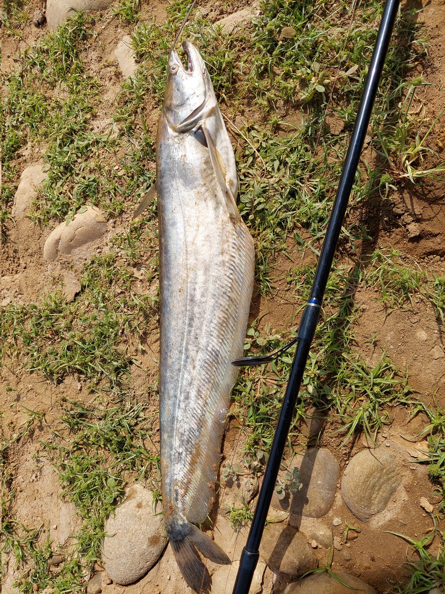 Mangla Dam Fishing