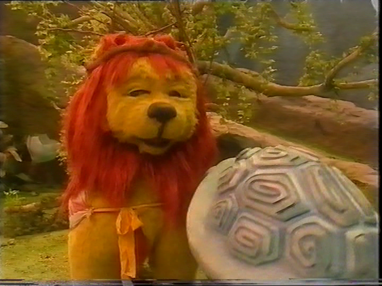 Magic Mountain Tv Show