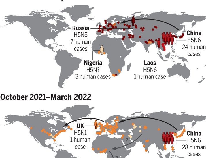 Bird Flu Outbreak 2025 - Fedora Lucretia Bird Flu Outbreak 2025 - Fedora Lucretia