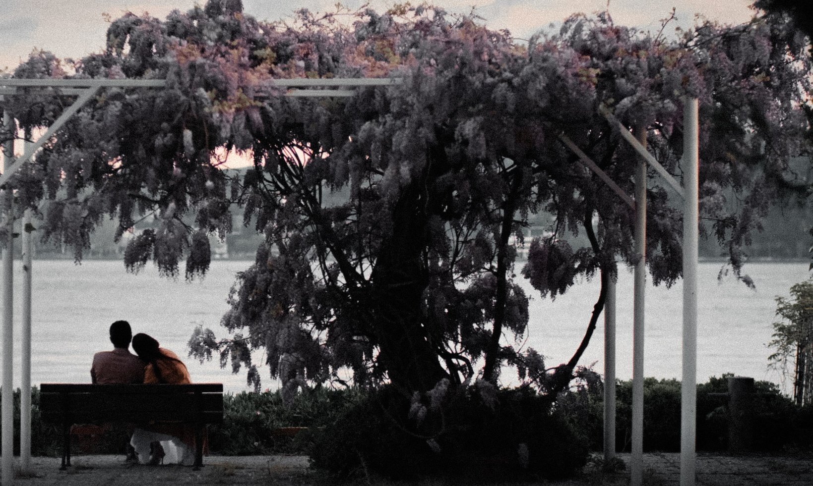 𝓨. (@vilocado) / Twitter