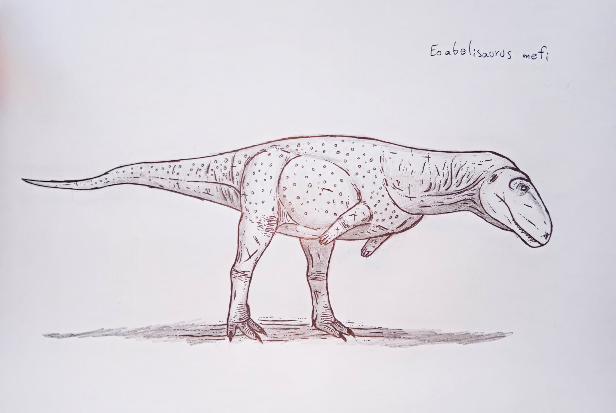 Eoabelisaurus Mefi