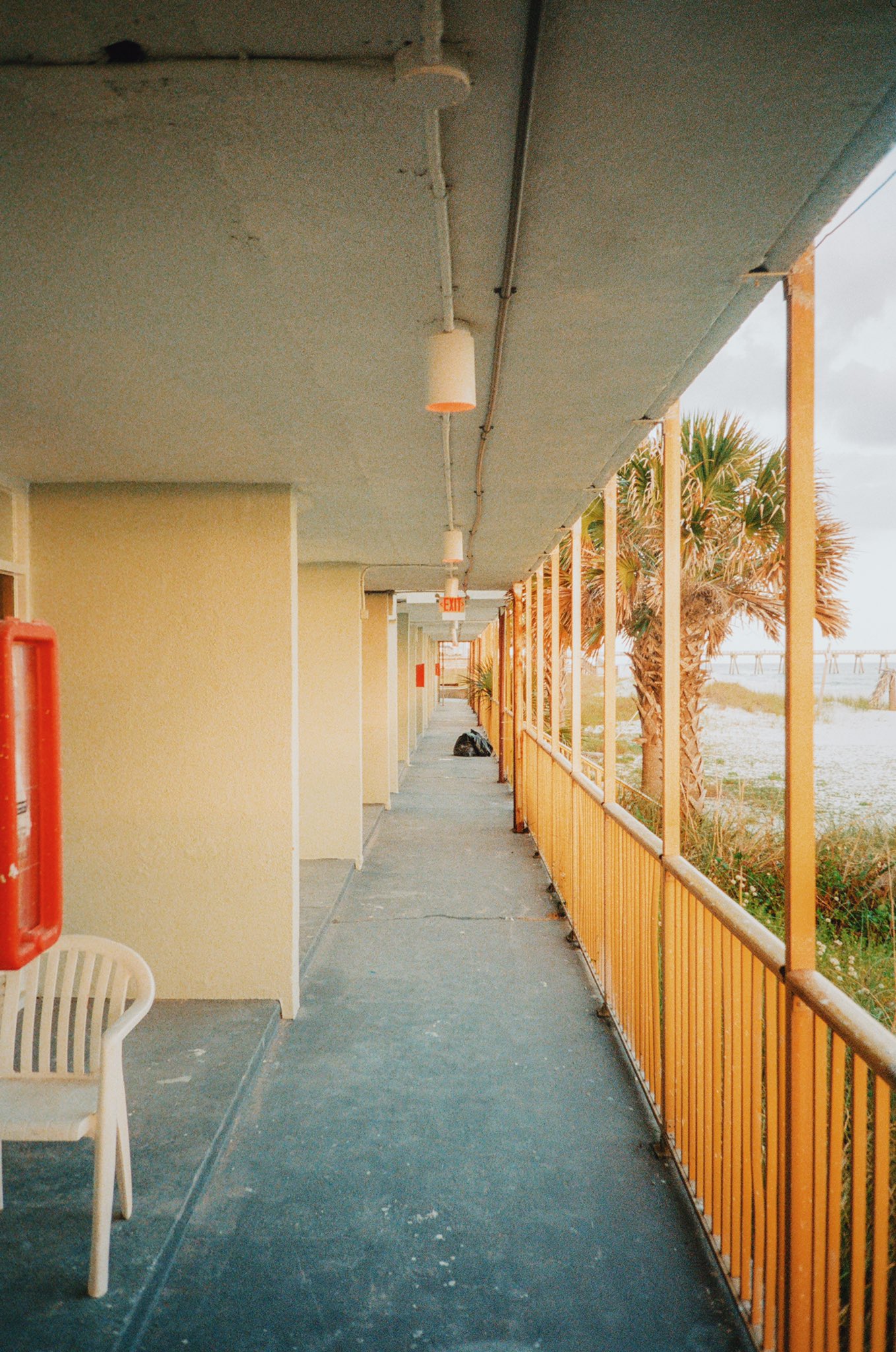 Analee Cantu (@AnaleeCantu) / Twitter