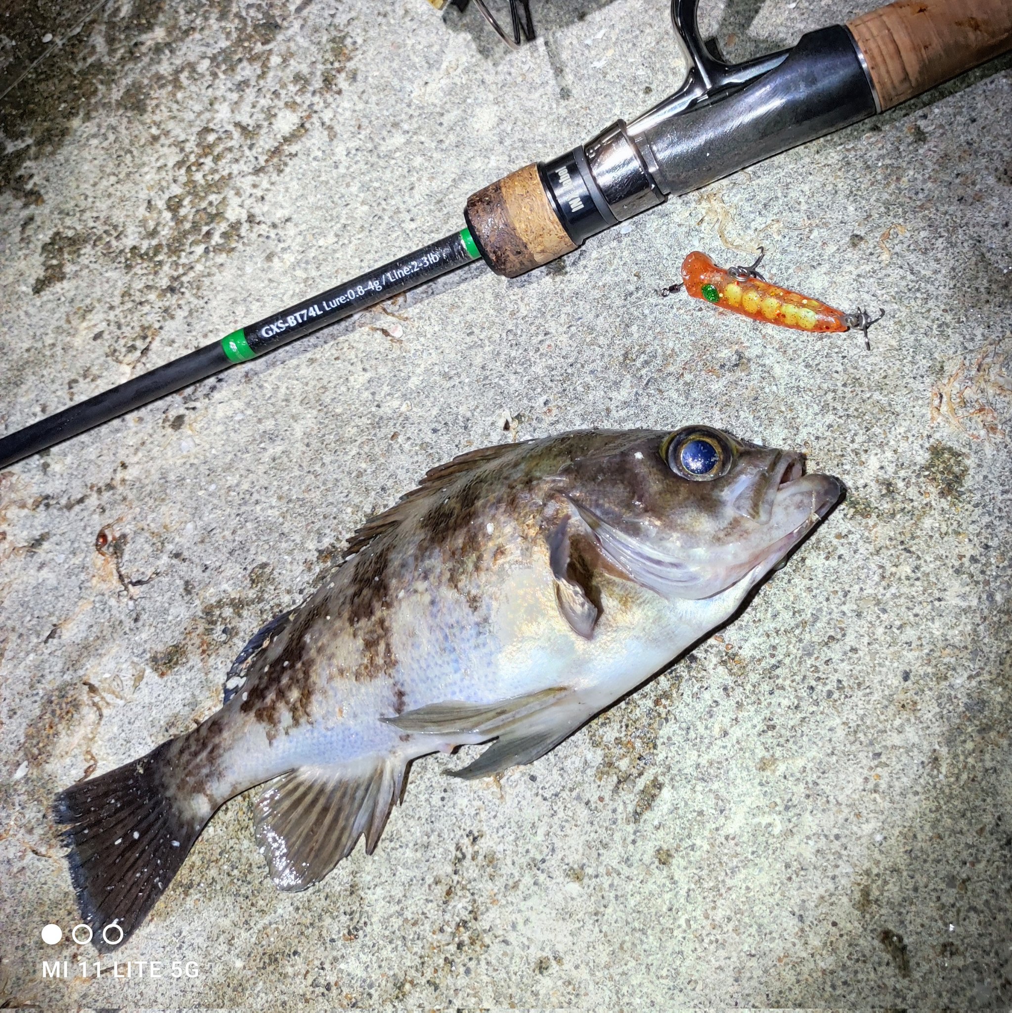 37％割引感謝の声続々！ ビーテスラー Bee Tesller 超希少1stモデル インクスレーベル ロッド フィッシング-OTA.ON ...