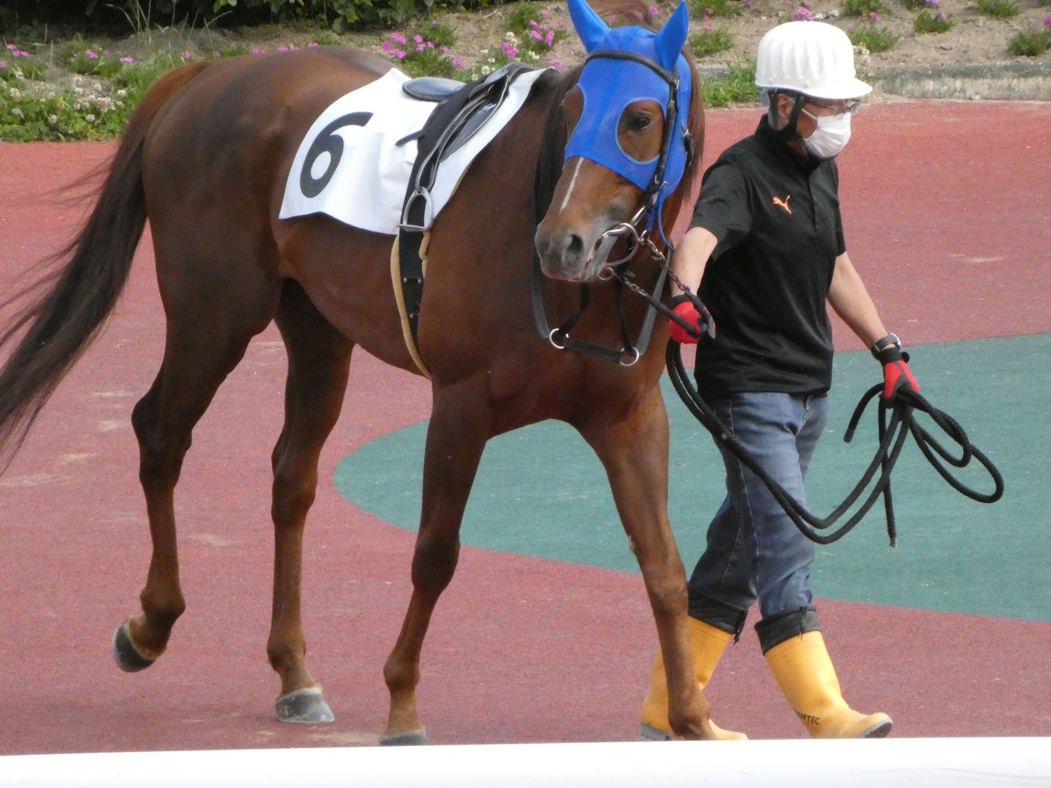 mackmackmack69 on Twitter: "2022/5/11(水) 笠松競馬場 8R 屋形船賞 B2組 特選 1600m 4着 6番 イキザマ 1:48:9 [42.9](5人気 ...