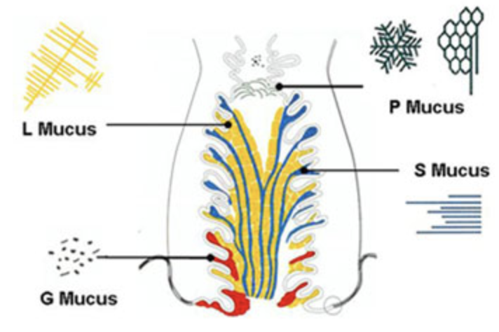 How to Chart Vaginal Sensation Vaginal sensation refers to the wetness ...