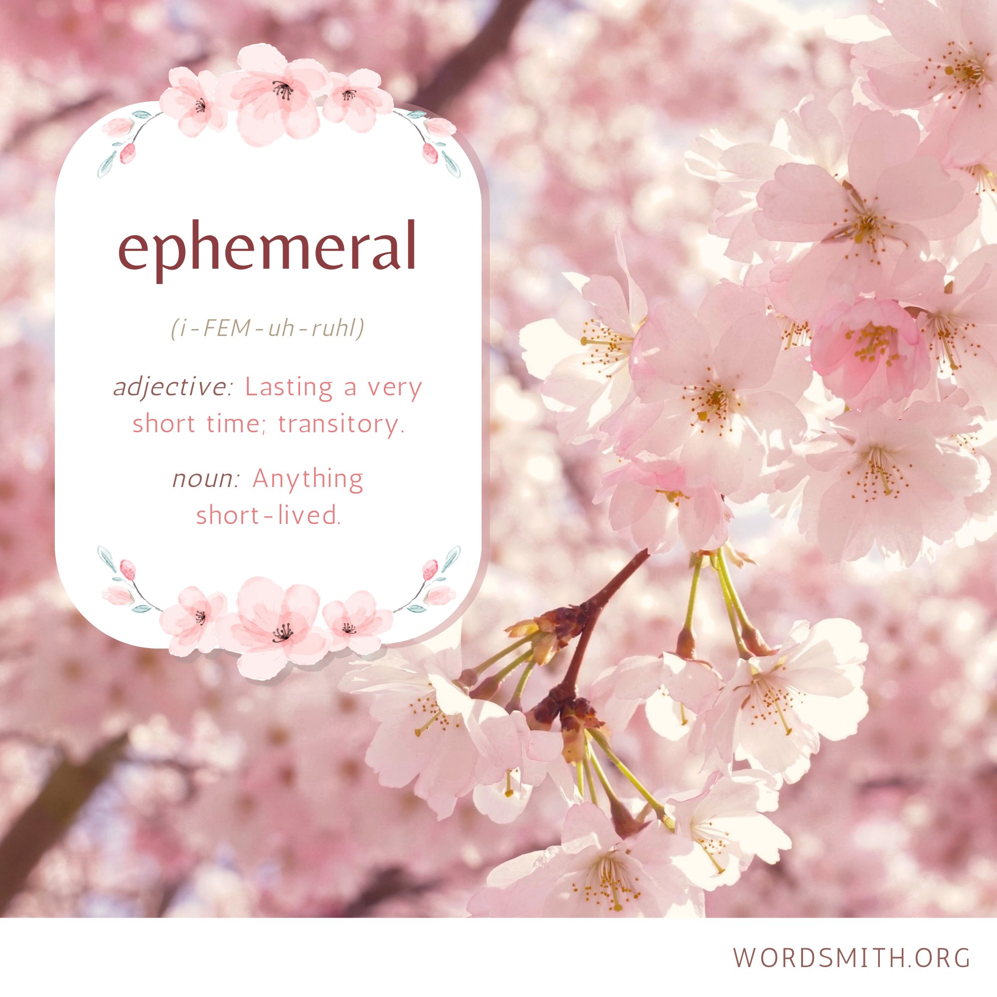 Ephemeral Meaning Conversations On Conservation Of Cultural Heritage: