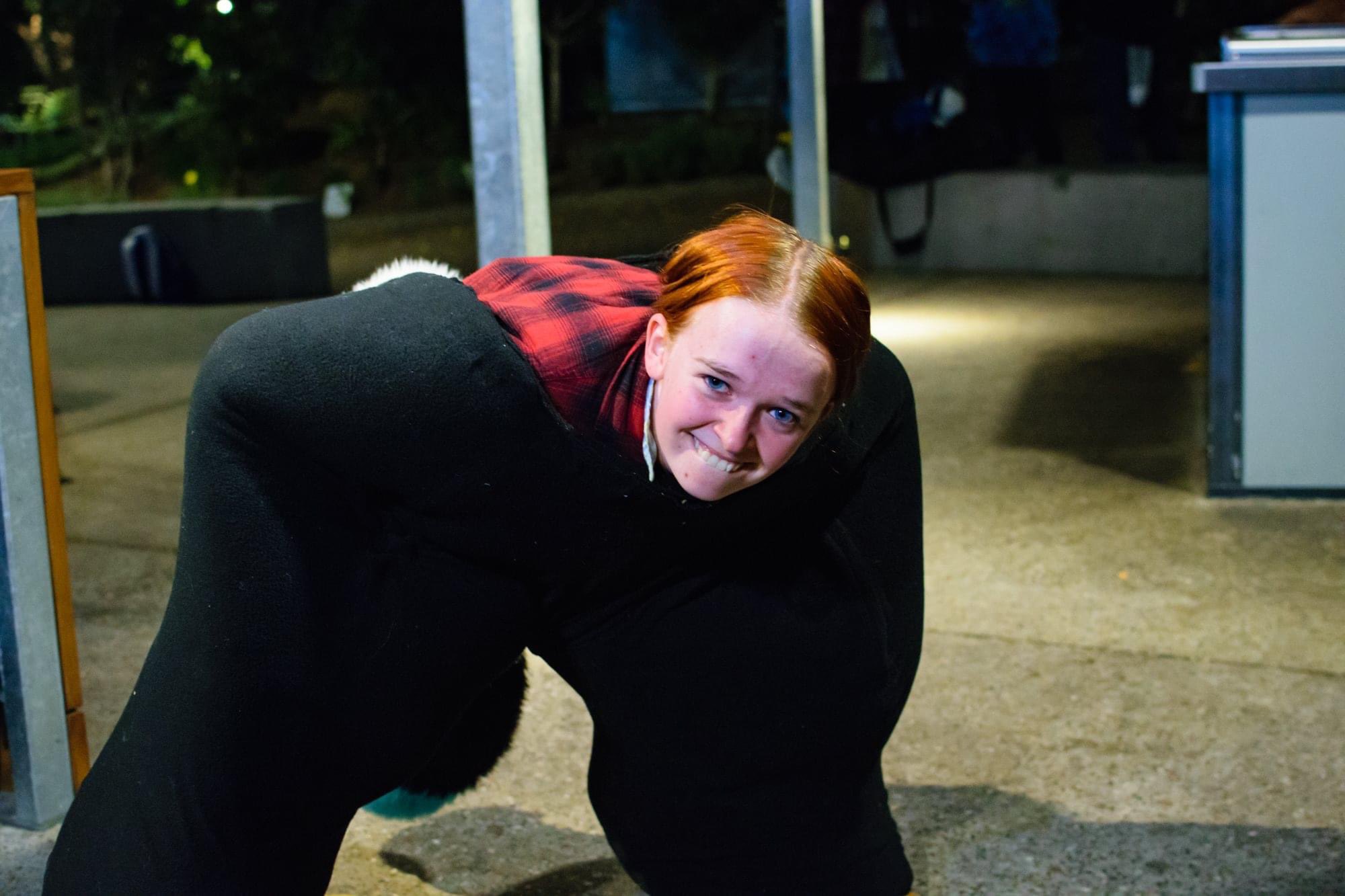 🐺 Skyehighstudios 🐺🇺🇦 on Twitter: "I always put nice photos of me in these but this sums up my ...