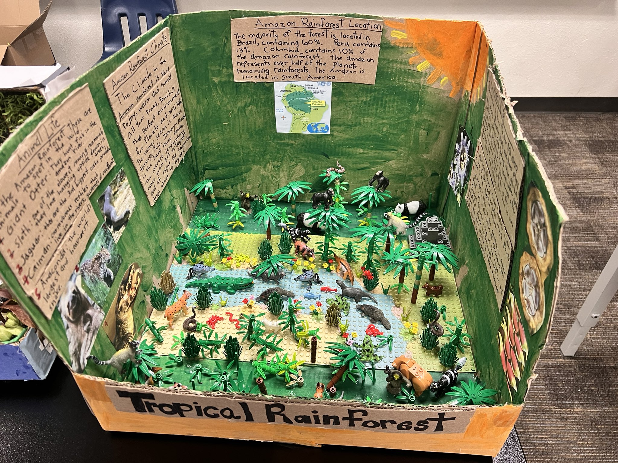 Jaguar Habitat Diorama