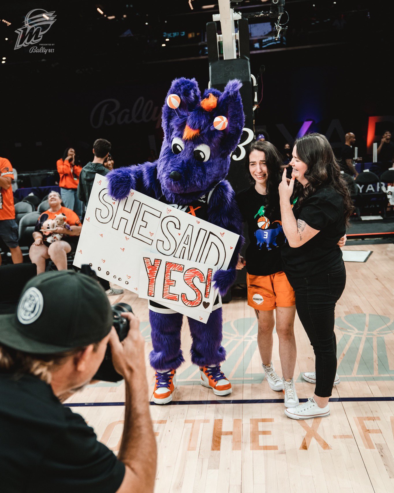 Phoenix Mercury on Twitter: Phoenix Mercury on Twitter: