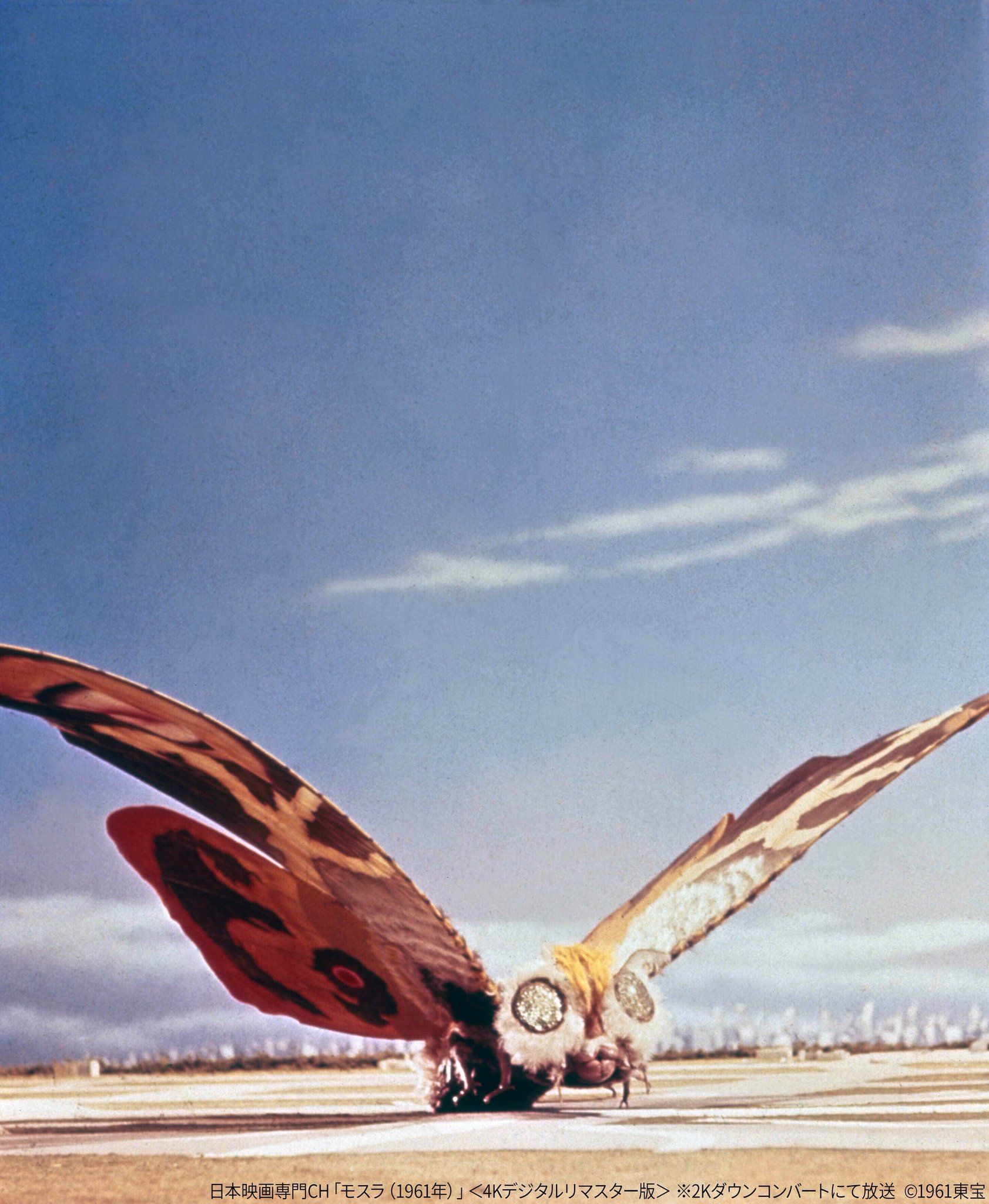 日本映画専門チャンネル On Twitter / 伝説の初代 モスラ 4k化tv初放送まであと30分🦋 「モスラ 1961年
