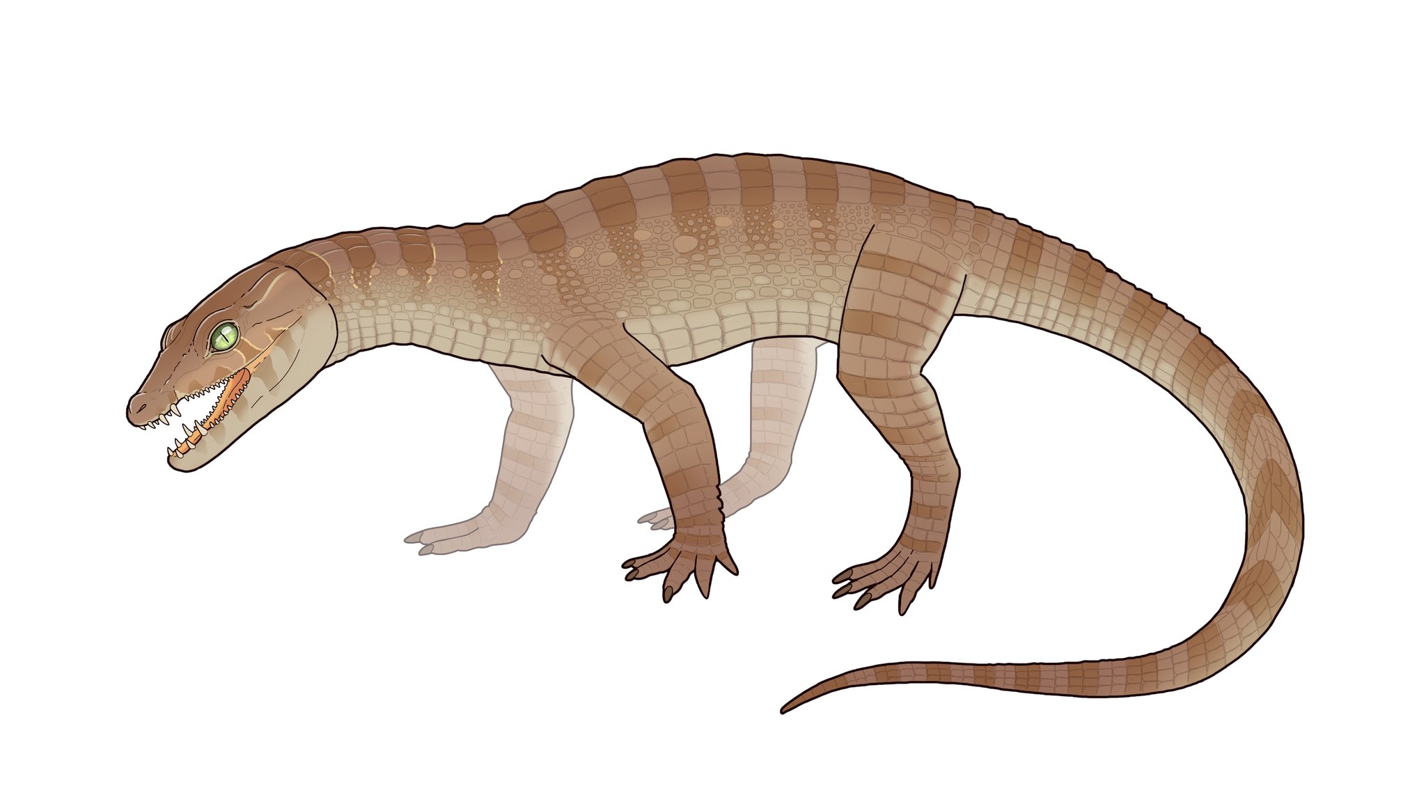 Some species that have never been suggested New species! - Page 28 ...