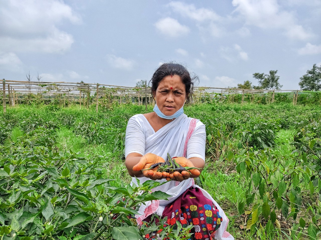 UNDP India on Twitter: "Towards #ResilientAgriculture 🌾. @AgriGoI & @UNDP_India have signed ️🏾an ...