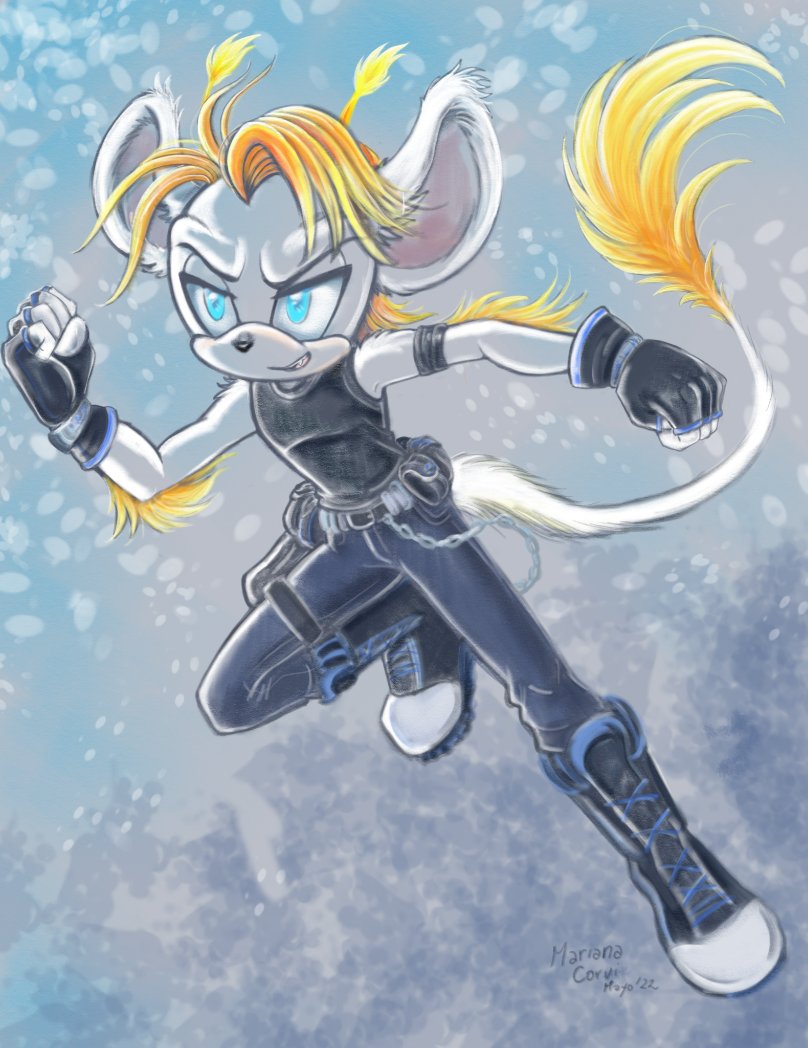 Biker Mice From Mars Women