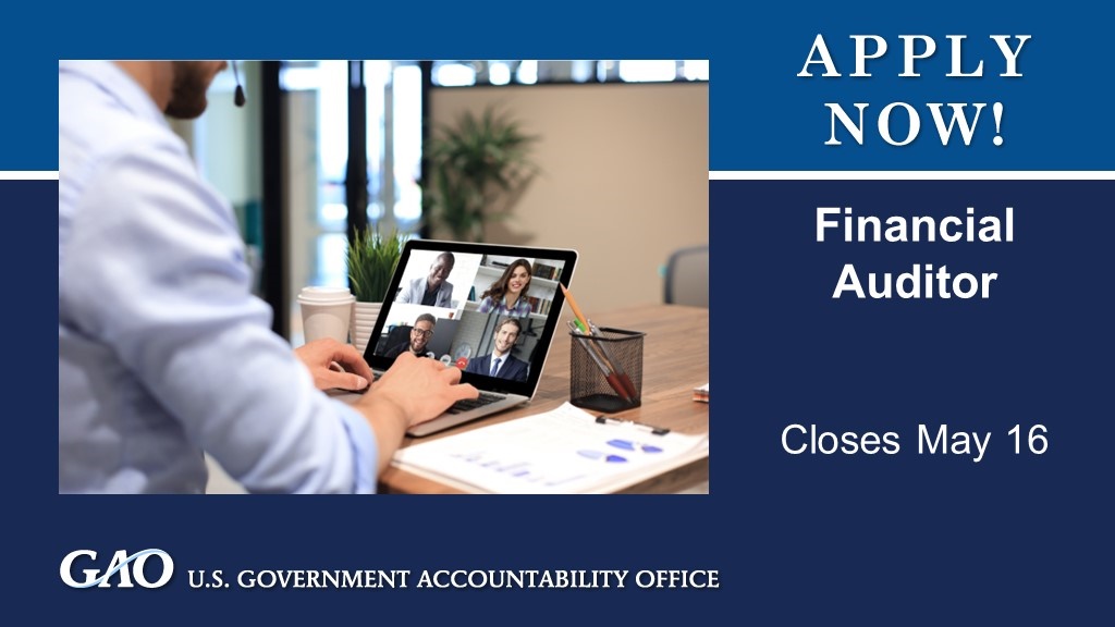 Financial Auditor Job