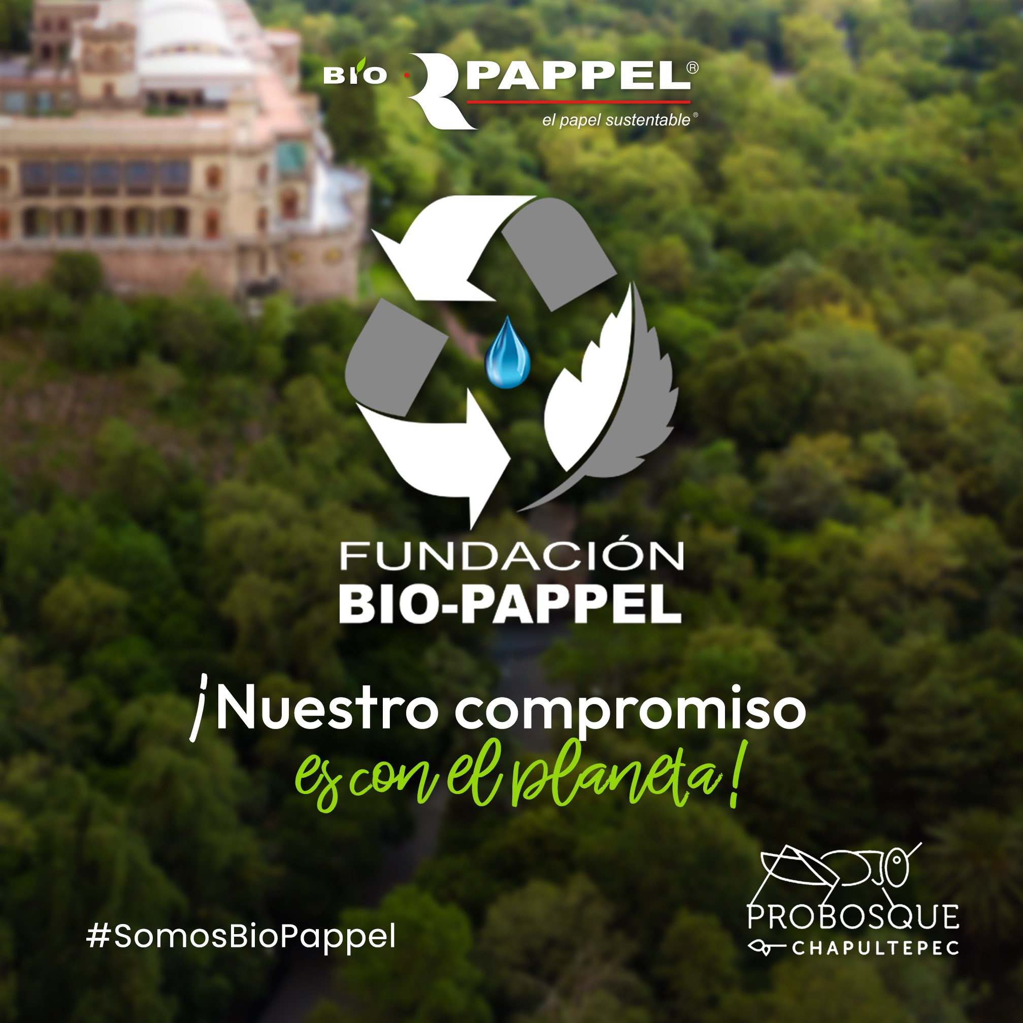 Bio Pappel Logo Bio Pappel Somos Una Empresa Internacional De Clase