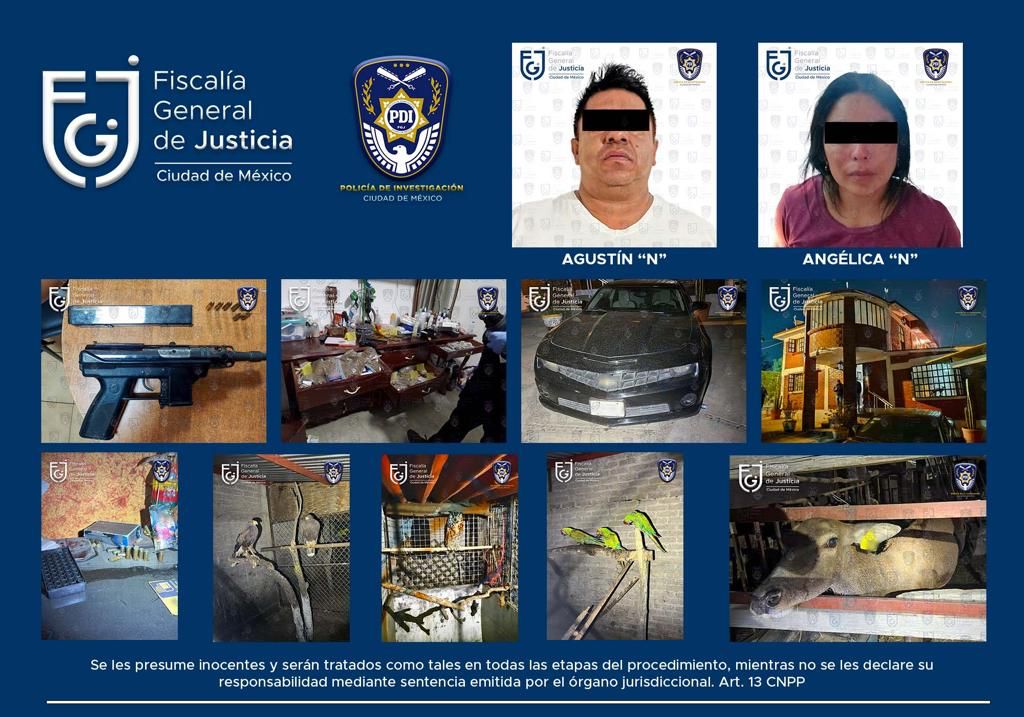 Fiscalía Cdmx On Twitter Las Indagatorias Realizadas Por Personal De
