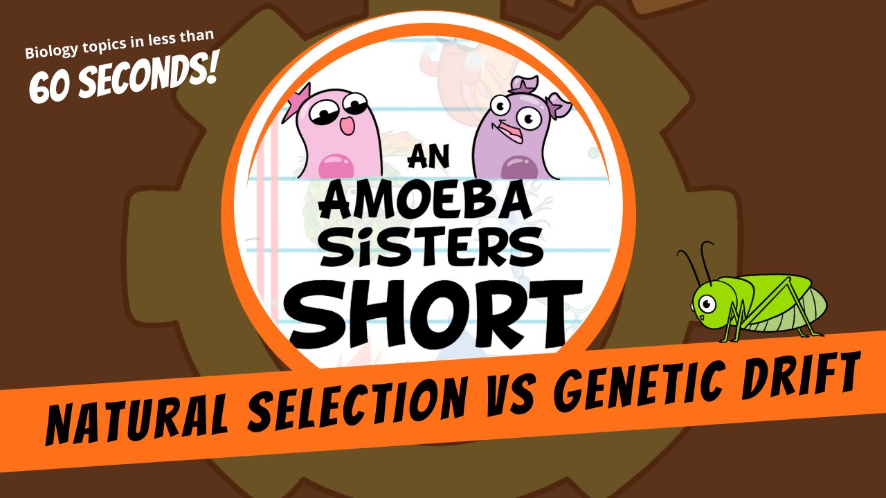 Amoeba Sisters on Twitter: "Just released our newest @YouTube short ...