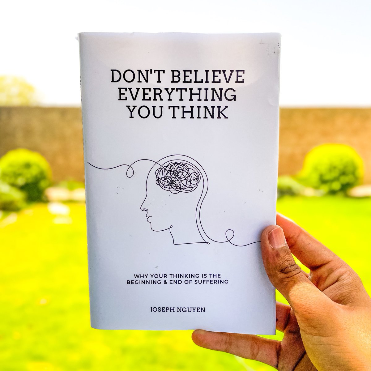 10 Lessons from Don’t Believe Everything You Think (thread) - Thread ...