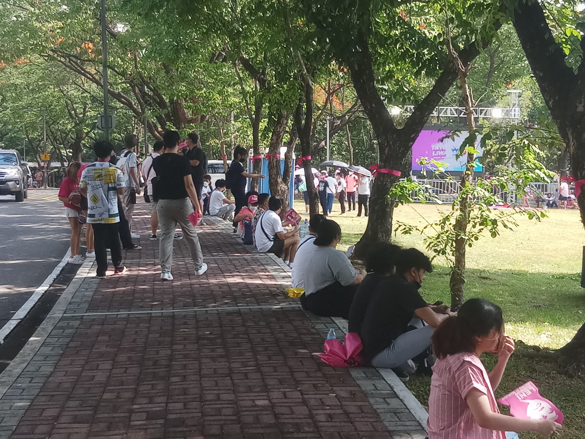 TomasinoWeb on Twitter: TomasinoWeb on Twitter: