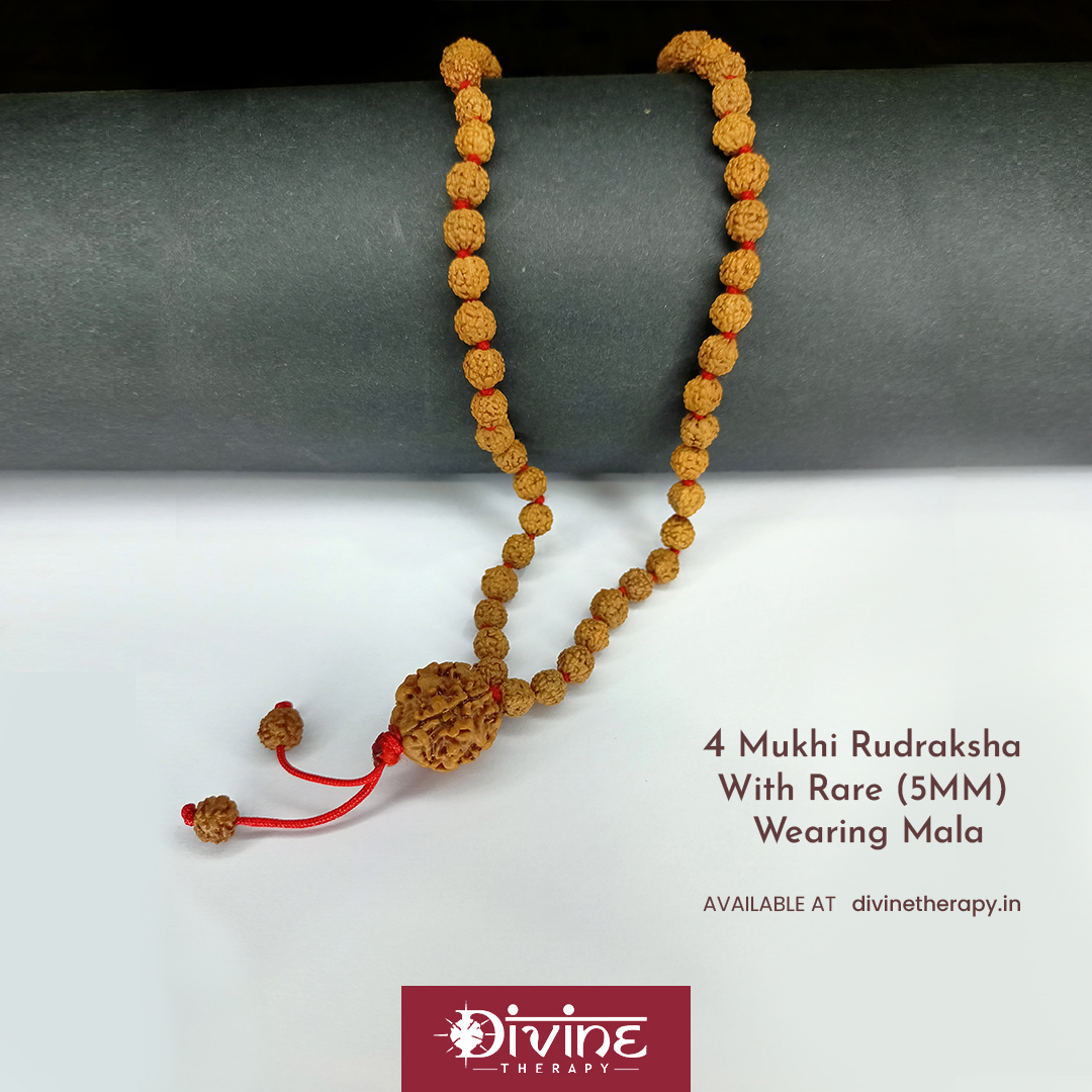 Rare Rudraksha Mala