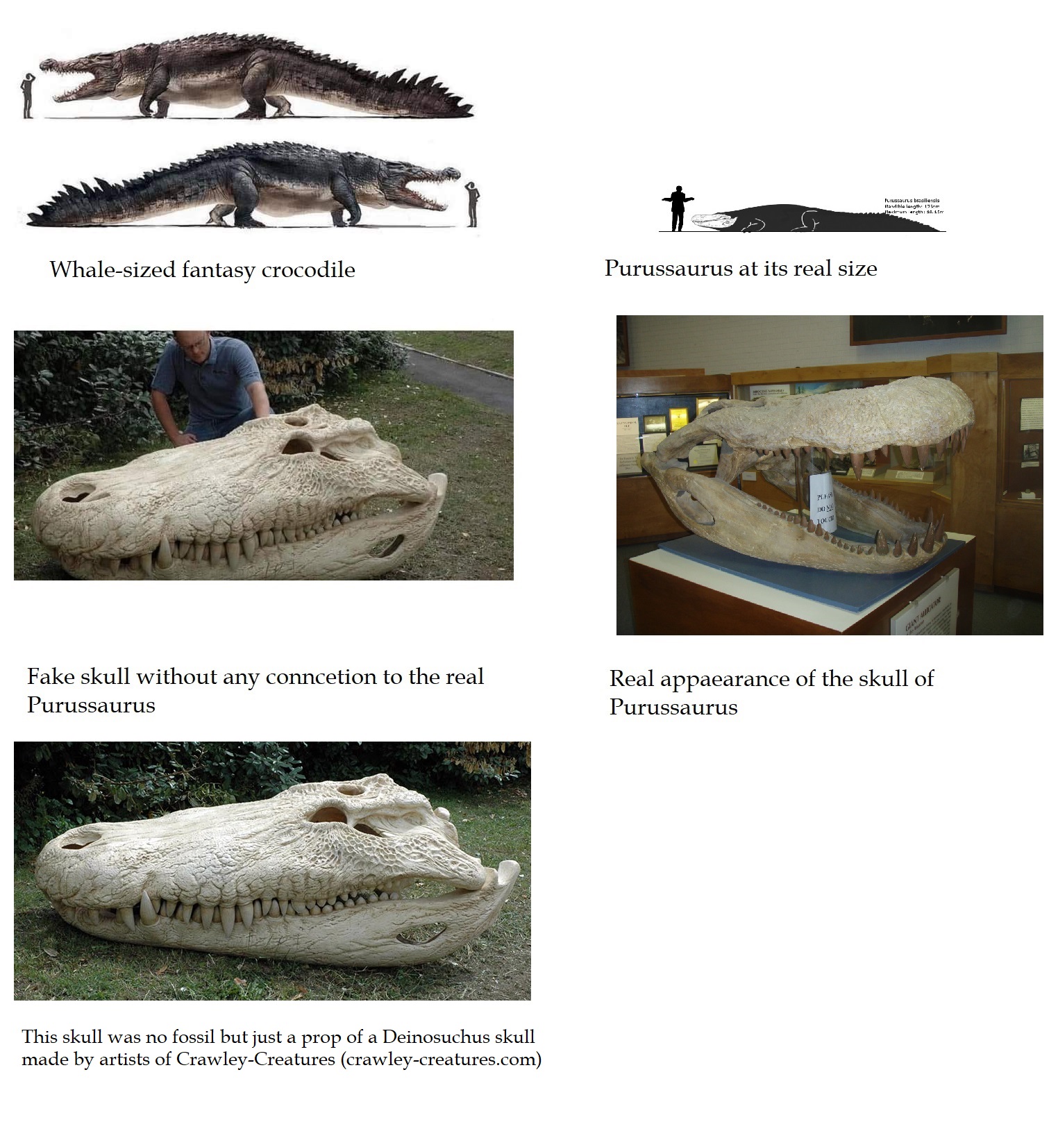 Purussaurus Bite Force
