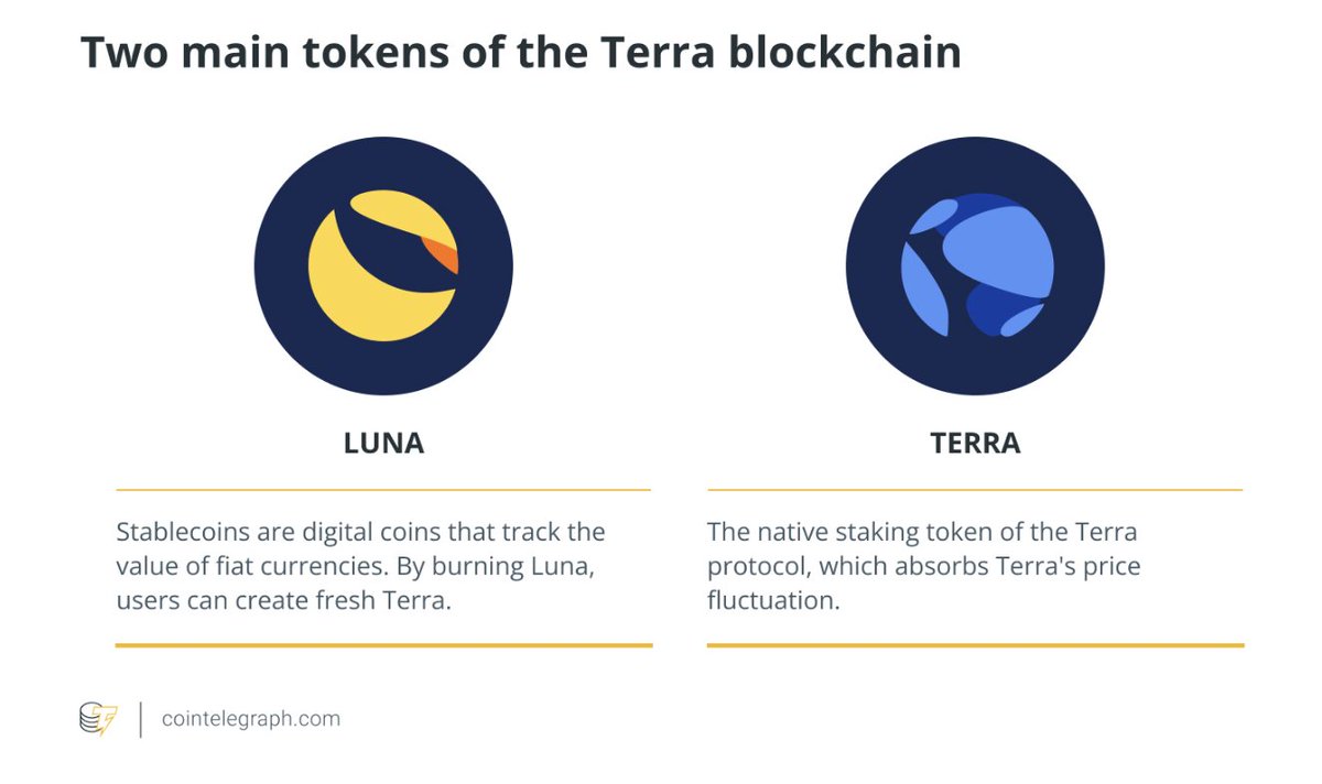 You've probably seen a lot about cryptocurrency Terra Luna and its ...