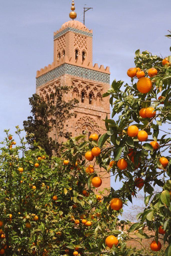 beautiful on Twitter: "Morocco https://t.co/uwWkfnsxj4" / Twitter