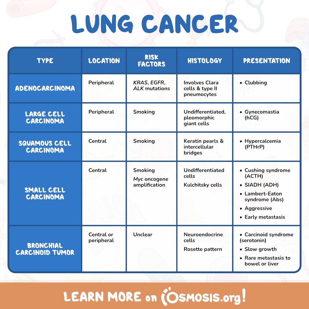 Lung Cancer Chart 2022 Lung Cancer Chart 2022