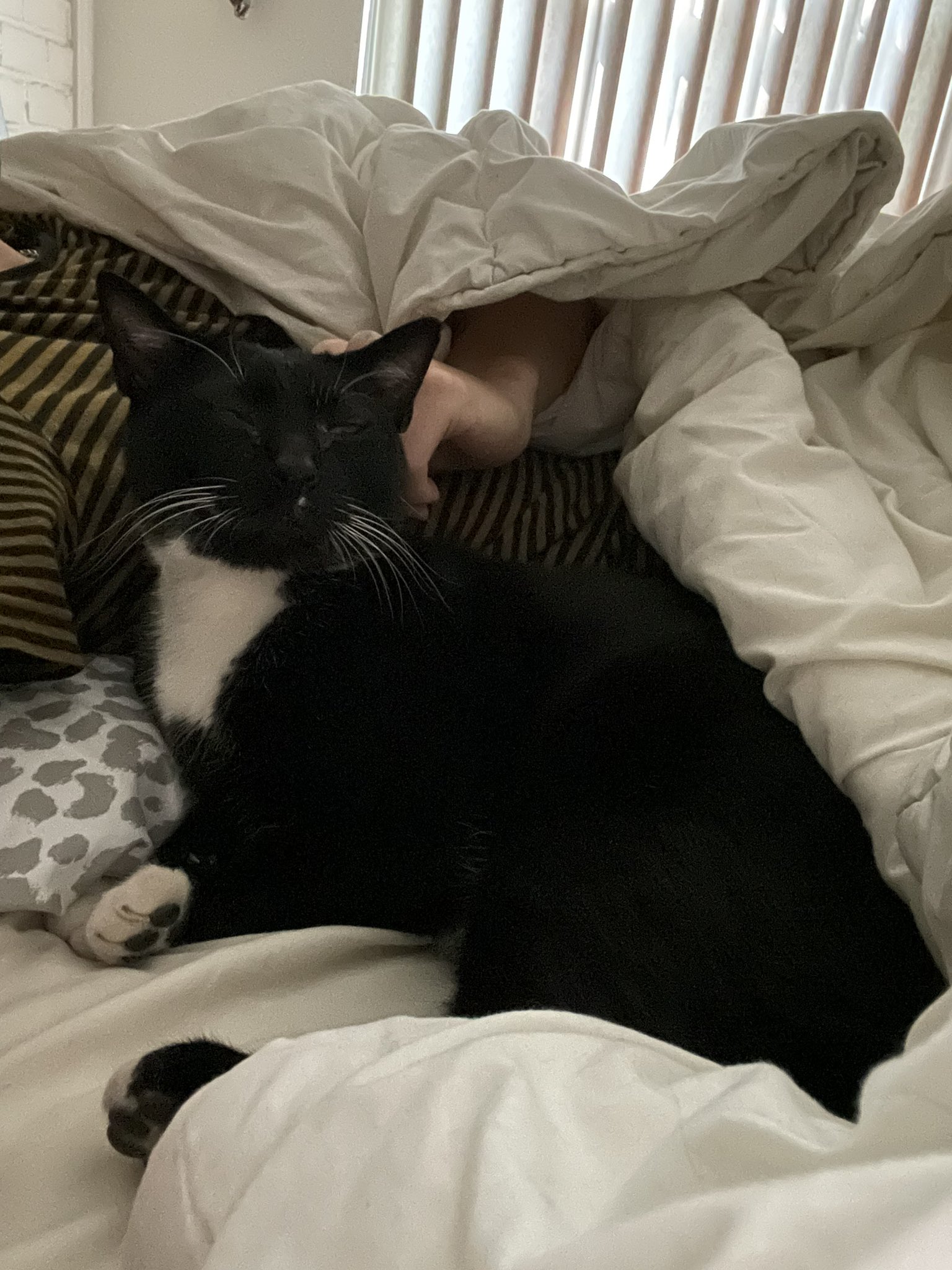 Cade Russels on Twitter: "My sweet boyyy https://t.co/duV9xN6wZg" / Twitter