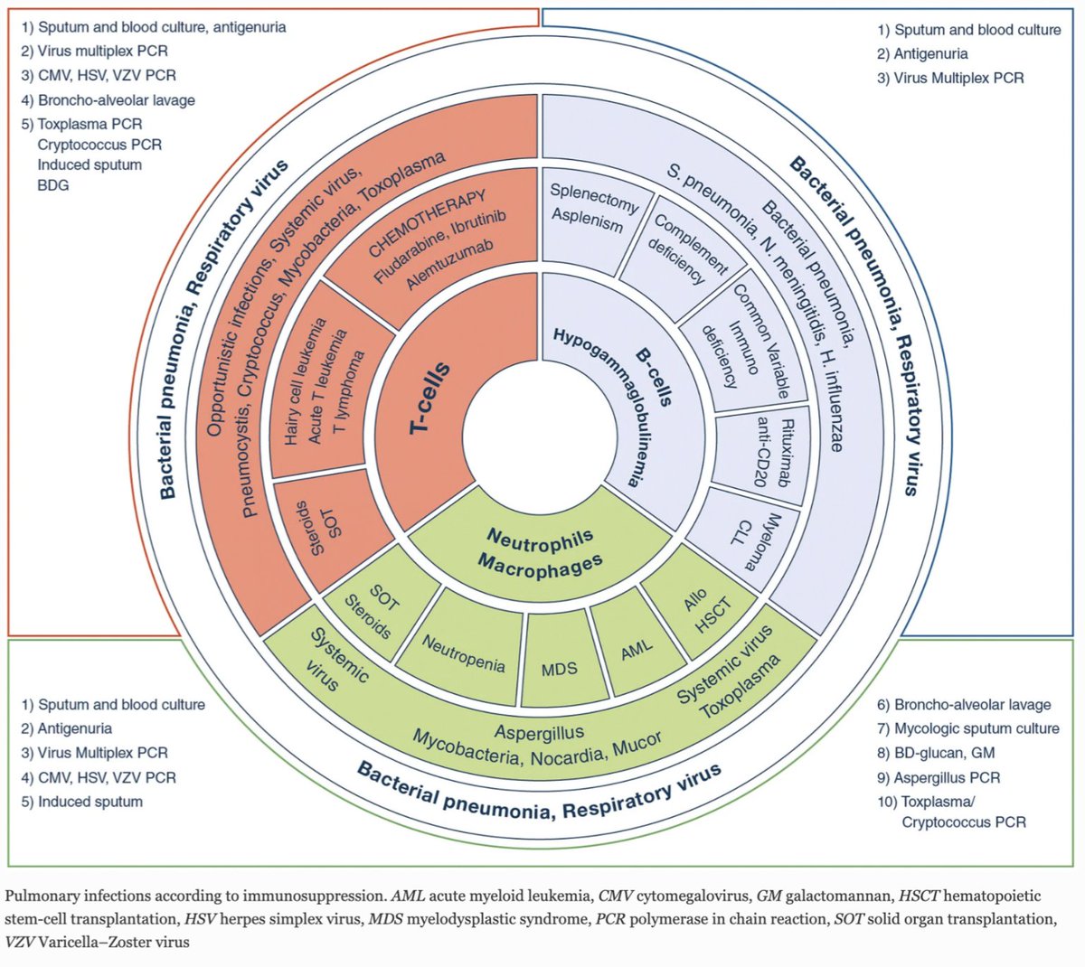 🫁🩸 Framework for Pulmonary Disease in Lupus 🩸🫁 1st pass = Infection ...