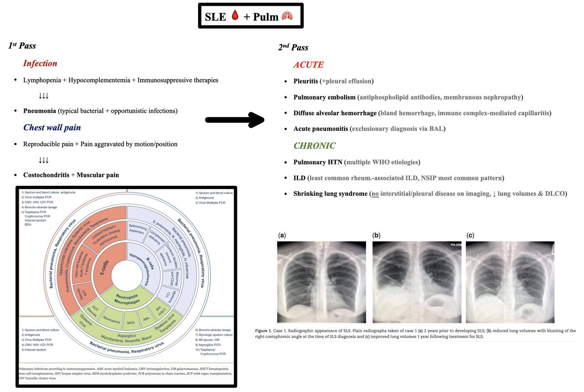 🫁🩸 Framework for Pulmonary Disease in Lupus 🩸🫁 1st pass = Infection ...