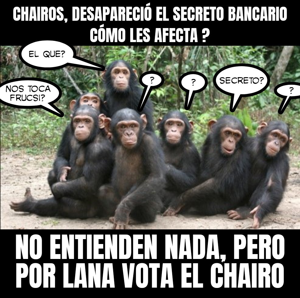 Familia De Changuitos Memes Descubre 30 Ideas De Chango Meme Chistoso