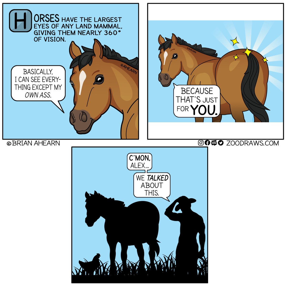 Funny Horse Comic Strips