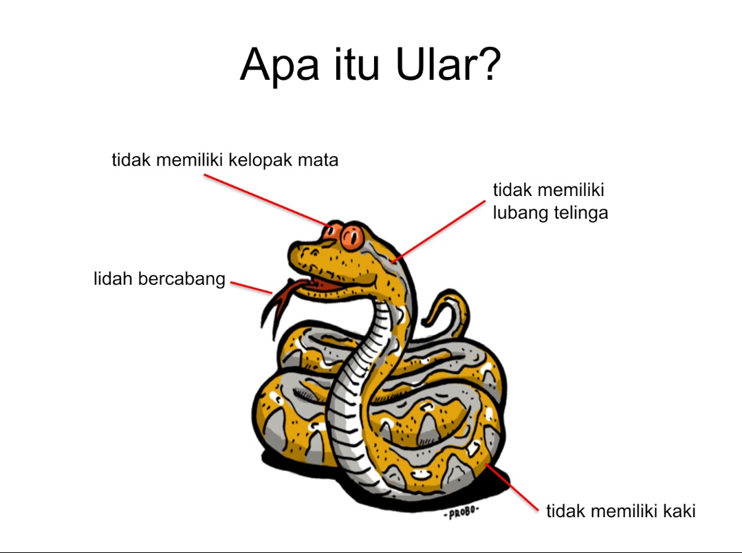 Thread by @piyopikavet on Thread Reader App – Thread Reader App