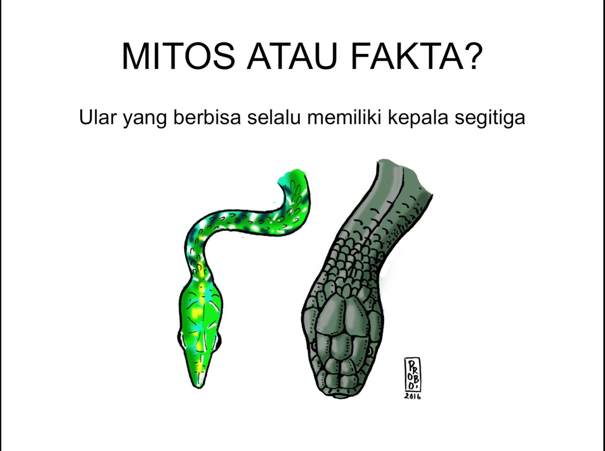 Karena lg heboh penemuan ular di perumahan. Baru inget sempet sama ...